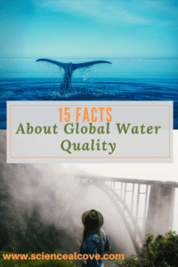 15 Facts about Global Water Quality