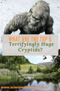 What are the Top 5 Terrifyingly Huge Cryptids?