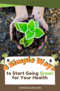 4 Simple Ways to Start Going Green for Your Health